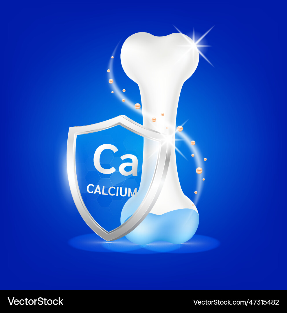 Shield aluminum calcium transparent and bone Vector Image