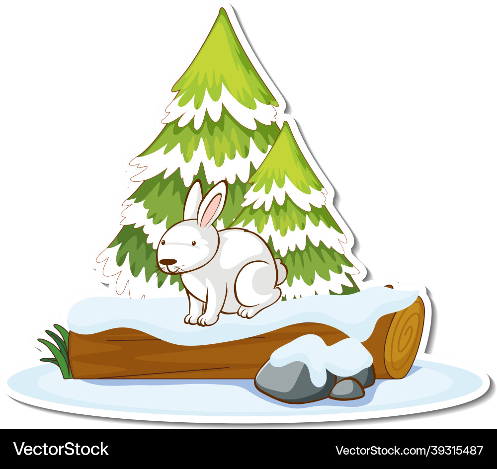 Rabbit White Snow