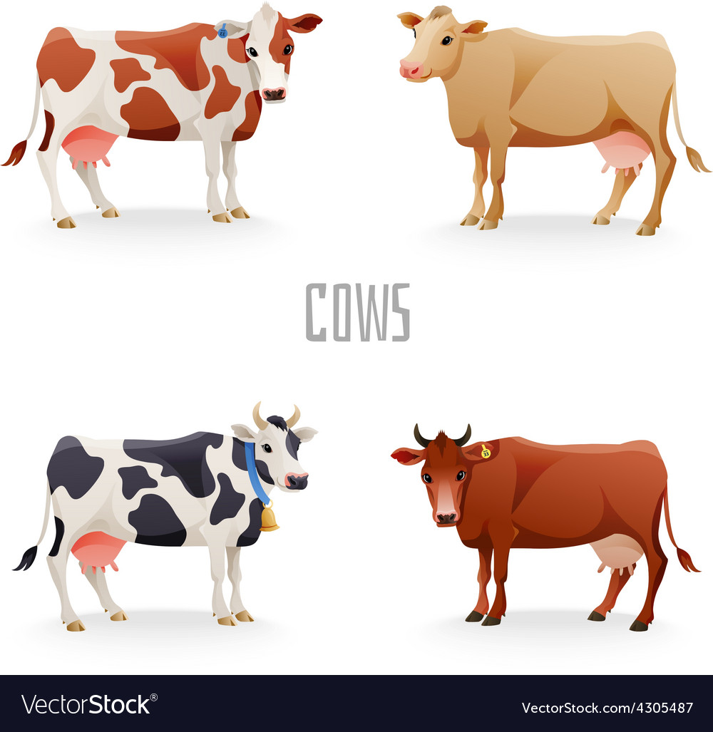 Different cows Royalty Free Vector Image - VectorStock