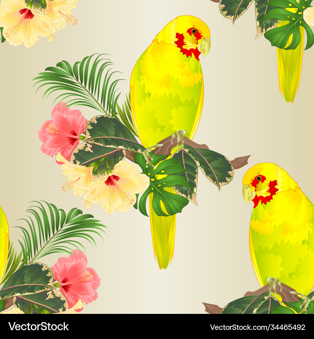 Seamless texture parrot in yellow bird indian Vector Image