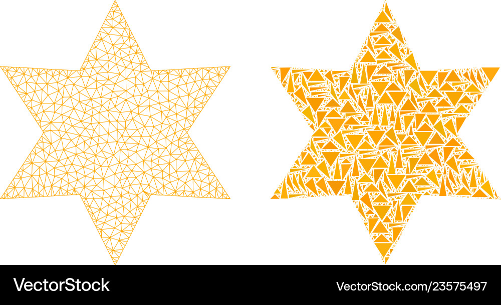 Polygonal 2d mesh six corner star and mosaic icon Vector Image