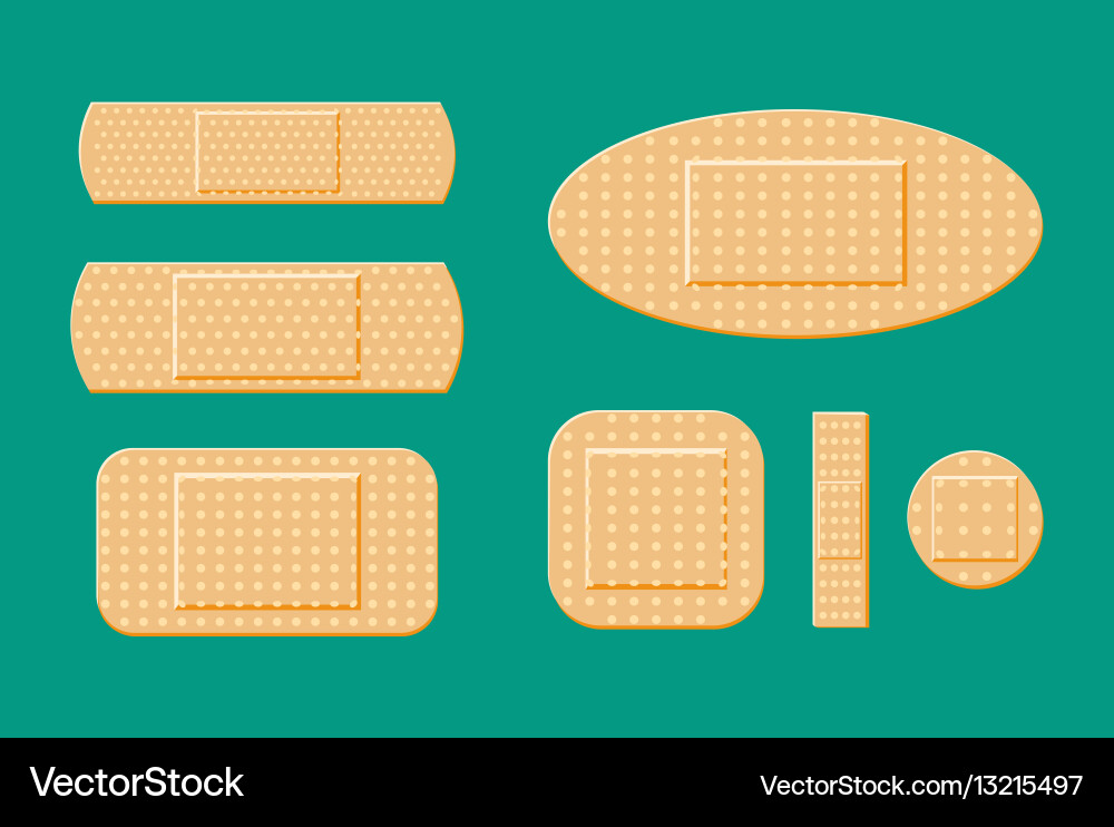 Set aid medical plaster in various sizes Vector Image