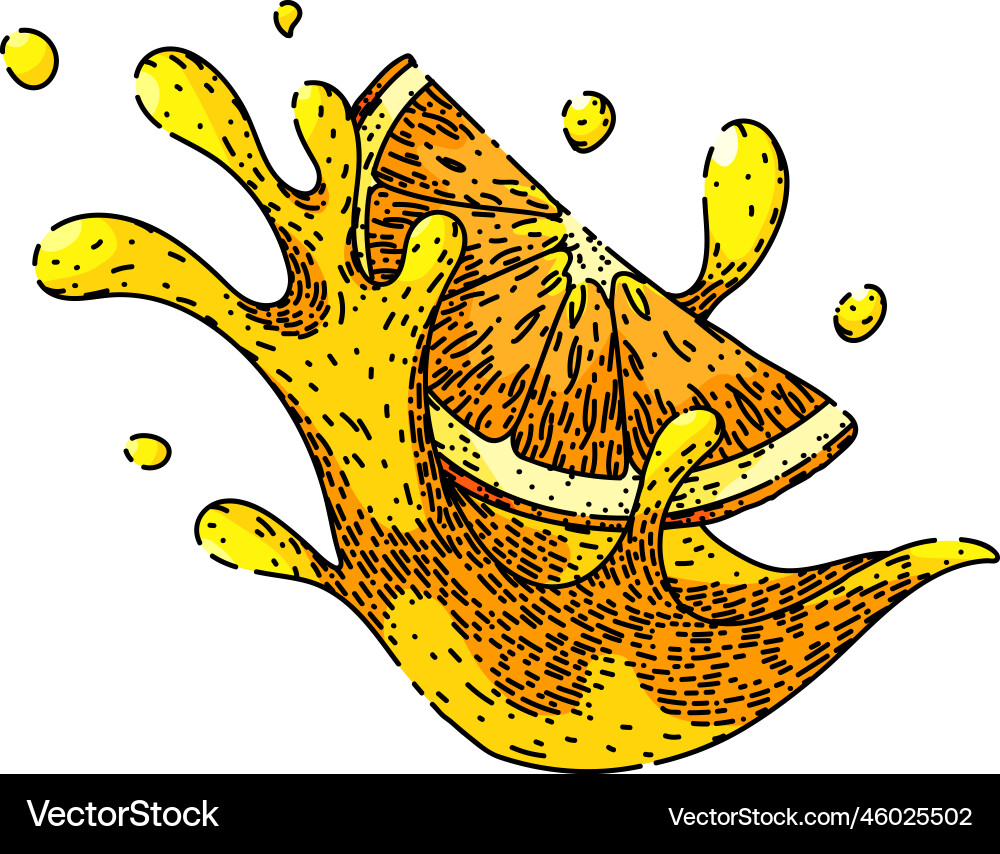 Orange splash juice sketch hand drawn Royalty Free Vector