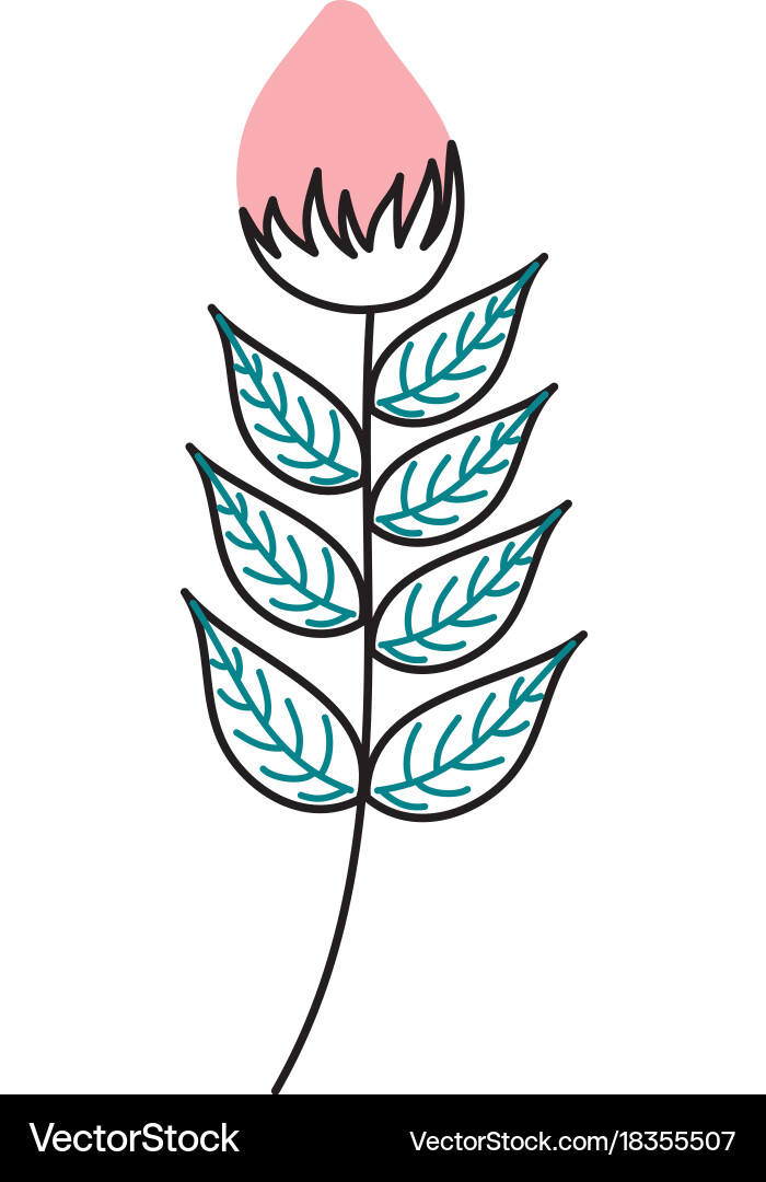 Flower garden growth bulb natural image Royalty Free Vector