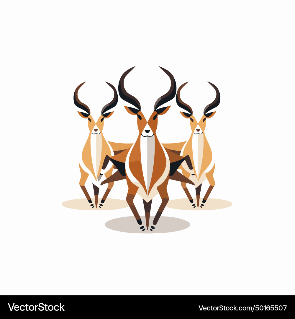 Image of a group antelope on white background Vector Image