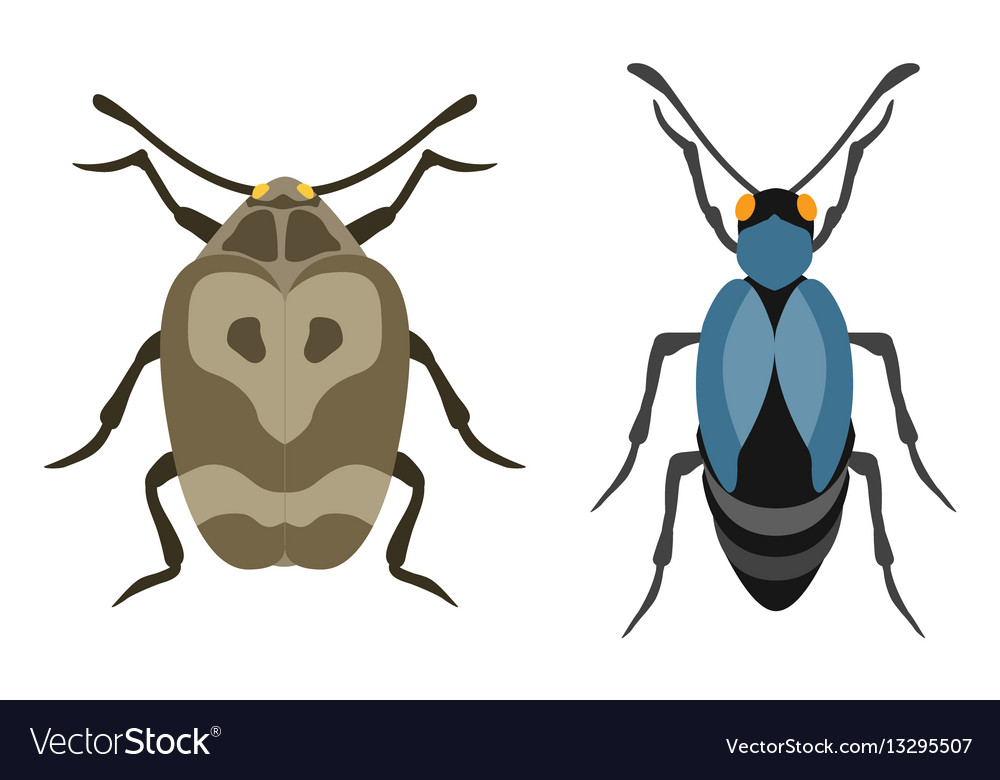 Insect icon flat isolated Royalty Free Vector Image
