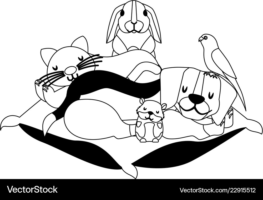 Dog cat hamster rabbit and bird on cushion bed Vector Image