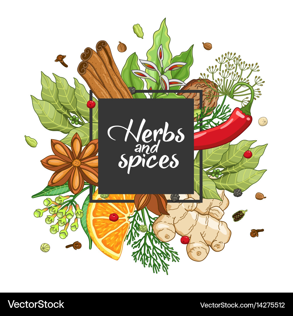 Winter square design with spices and herbs Vector Image