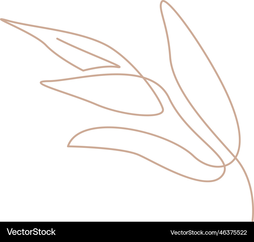 Leaf line art contemporary floral design Vector Image