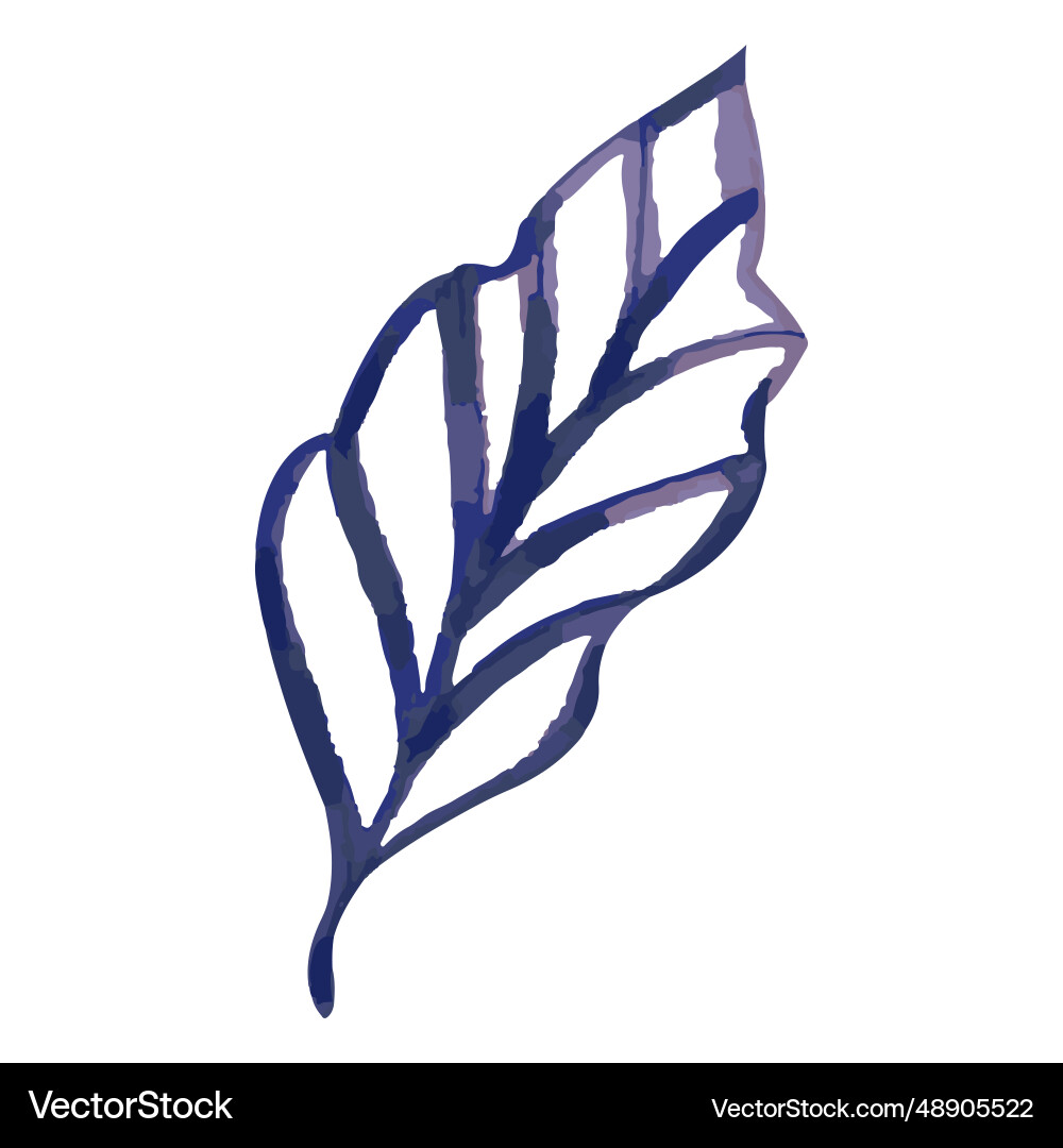 Leaf watercolor stroke Royalty Free Vector Image