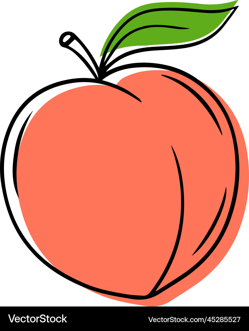 A ripe peach in contour style Royalty Free Vector Image