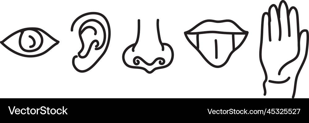 Five Senses Hand Five Senses Hi Res Stock Photography And Images