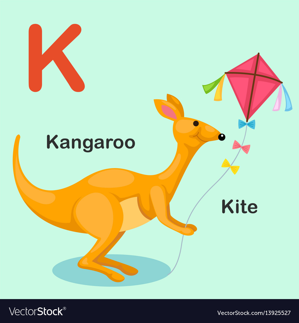 Isolated animal alphabet letter k-kite kangaroo Vector Image