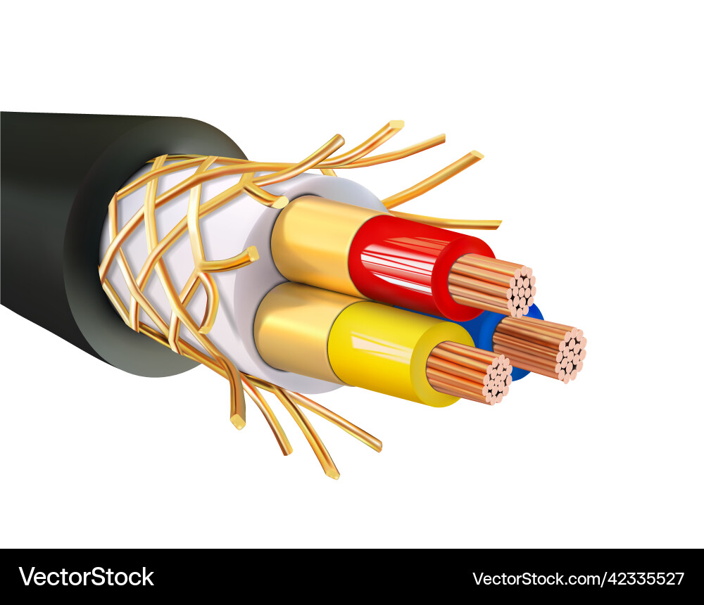 Macro image of an electric cable on a white Vector Image