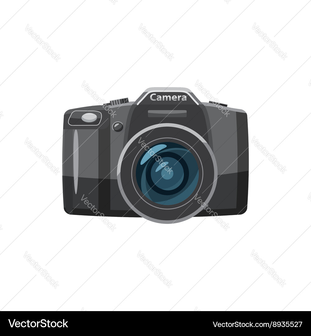 Photo camera icon cartoon style Royalty Free Vector Image