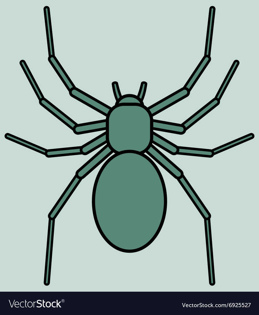 Spider Royalty Free Vector Image - VectorStock