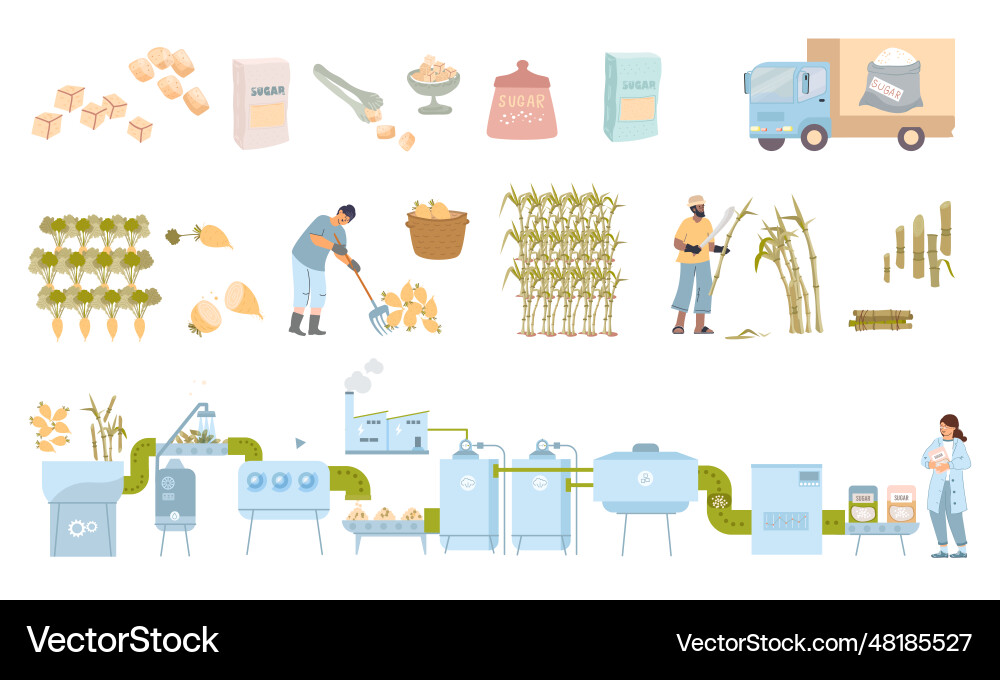Sugar production icons collection Royalty Free Vector Image
