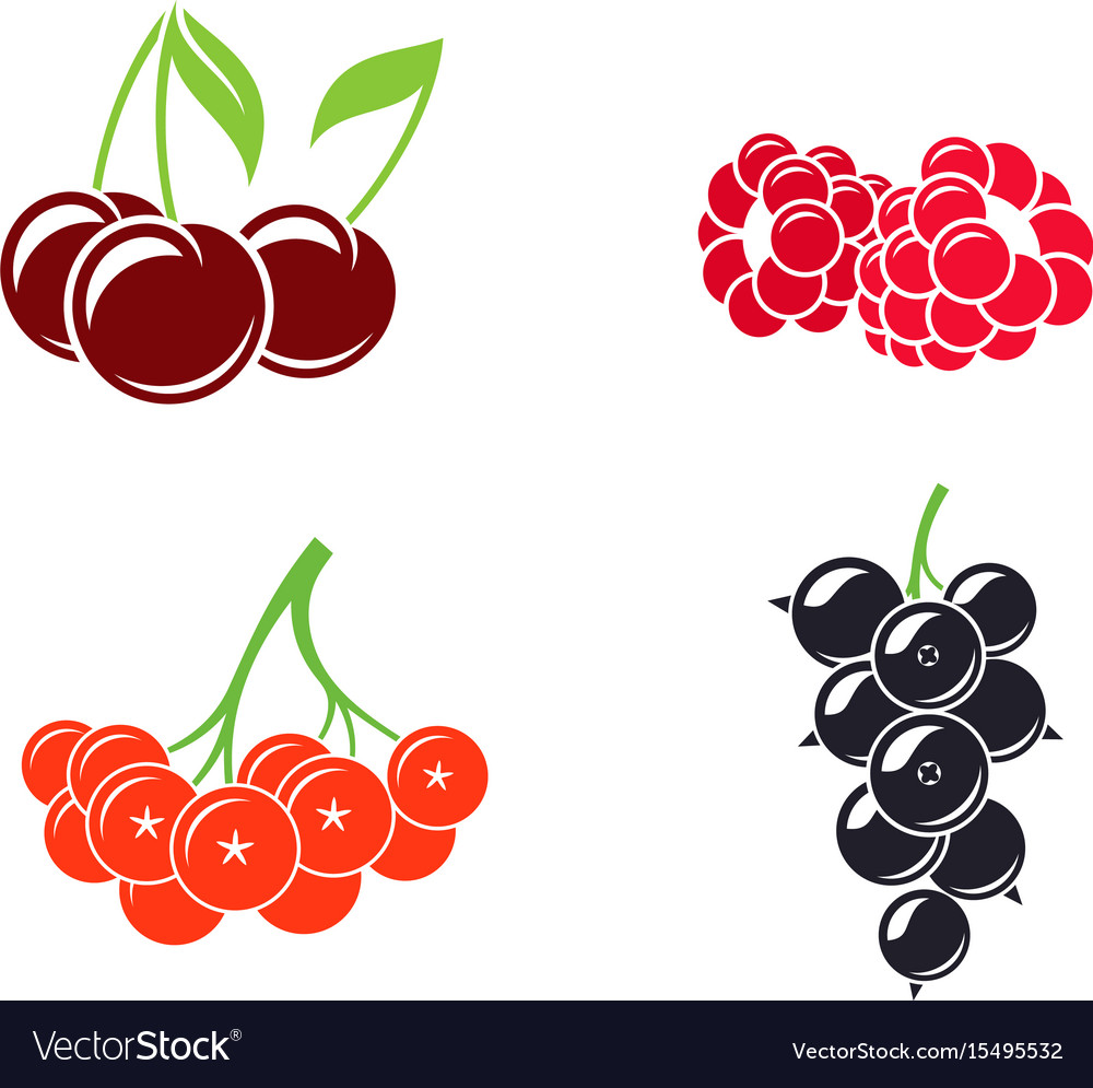 Berries abstract fruit on white background Vector Image