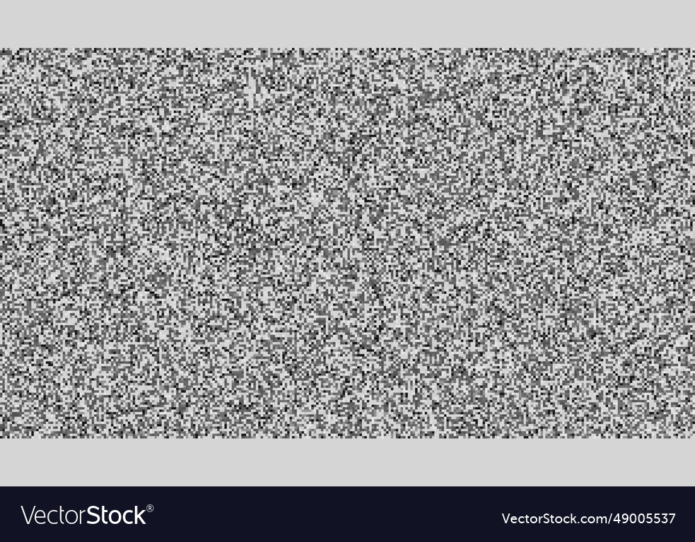 Pixelated black and white static noise on the Vector Image