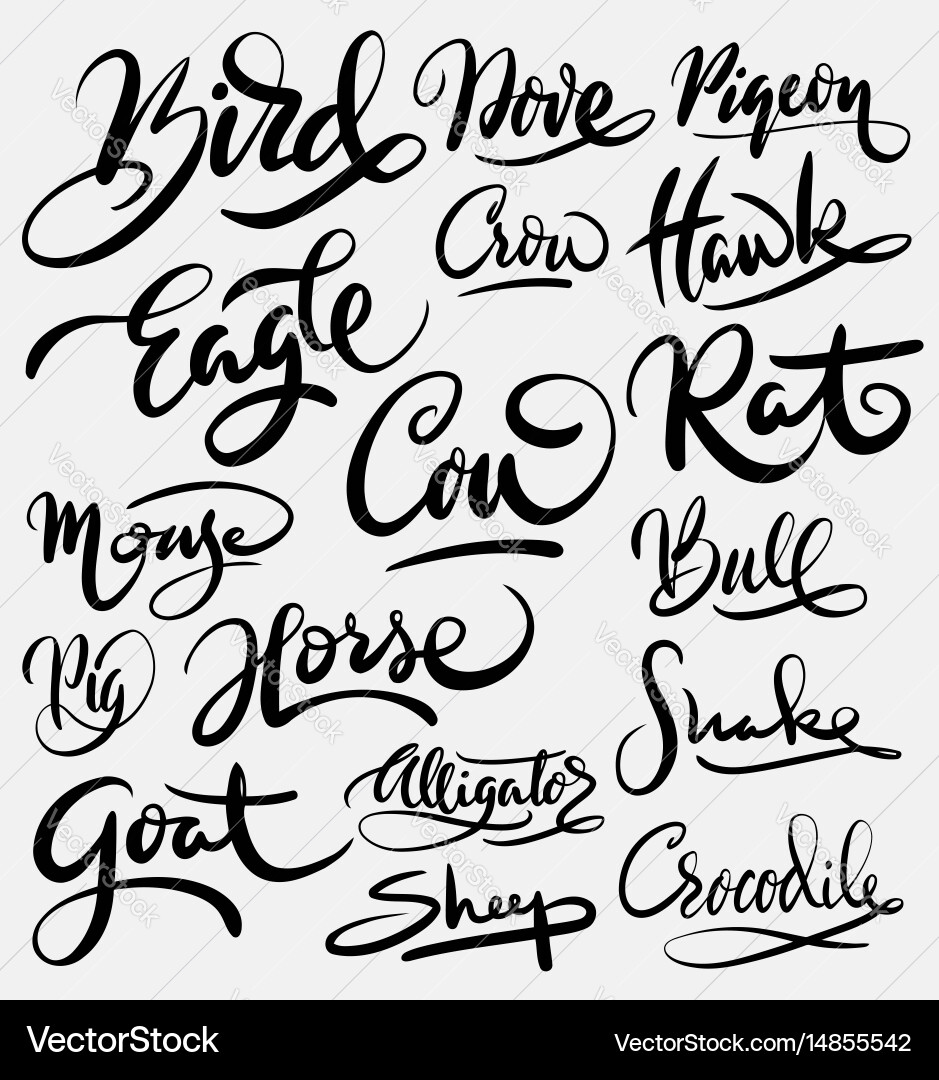 Bird and animal hand written typography Royalty Free Vector