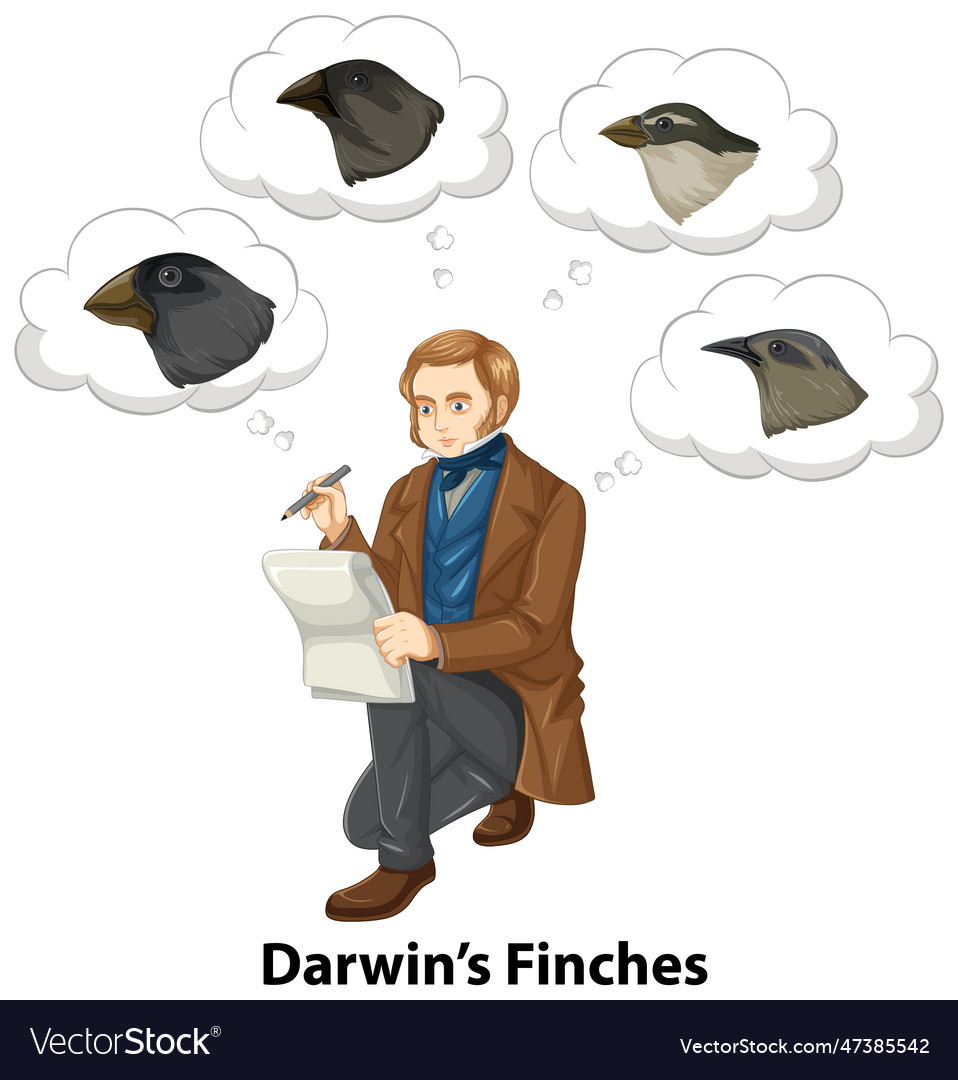 Charles darwin thinking about finches birds Vector Image Charles darwin thinking about finches birds Vector Image