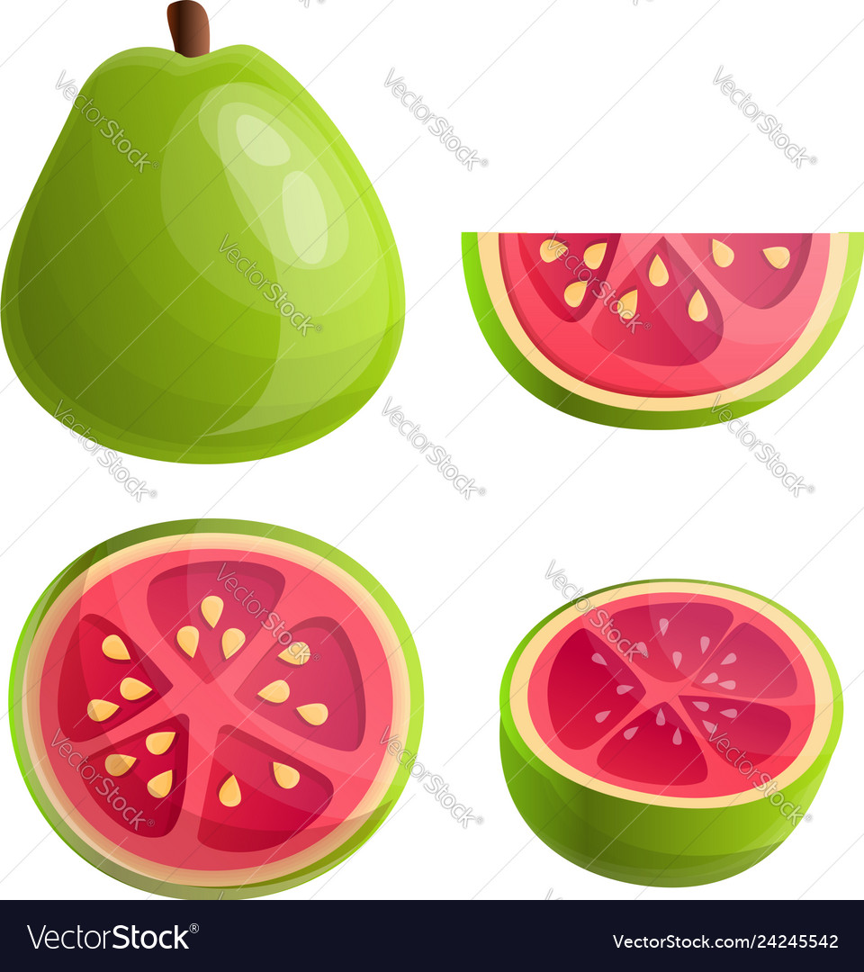 Guava icons set cartoon style Royalty Free Vector Image Guava icons set cartoon style Royalty Free Vector Image