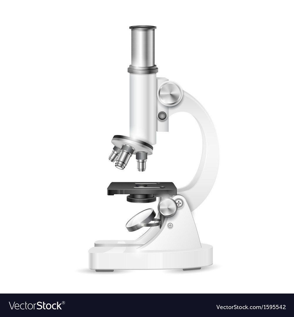 Microscope Royalty Free Vector Image - VectorStock