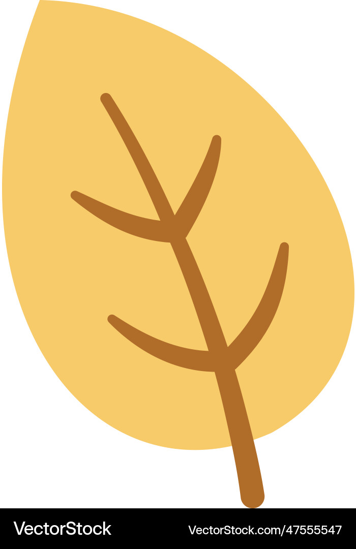 Cute autumn leaf isolated on white on white Vector Image