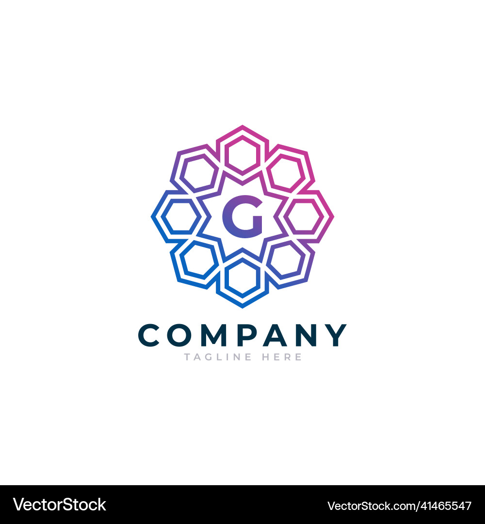 Letter g inside hexagon shape logo design Vector Image