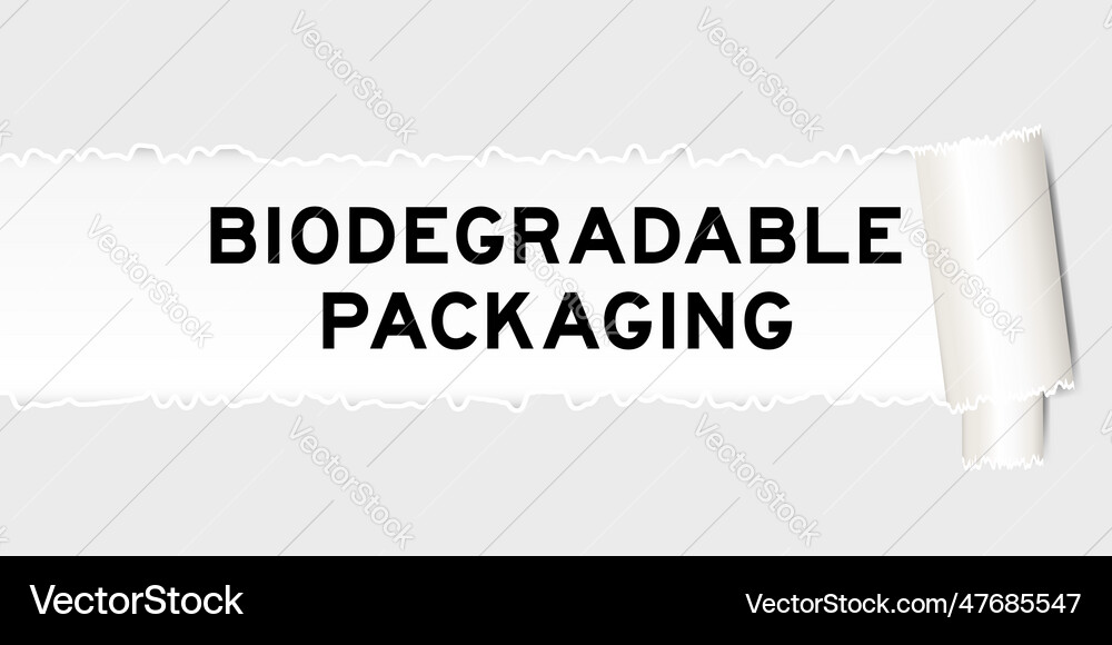 Ripped gray paper background that have word Vector Image