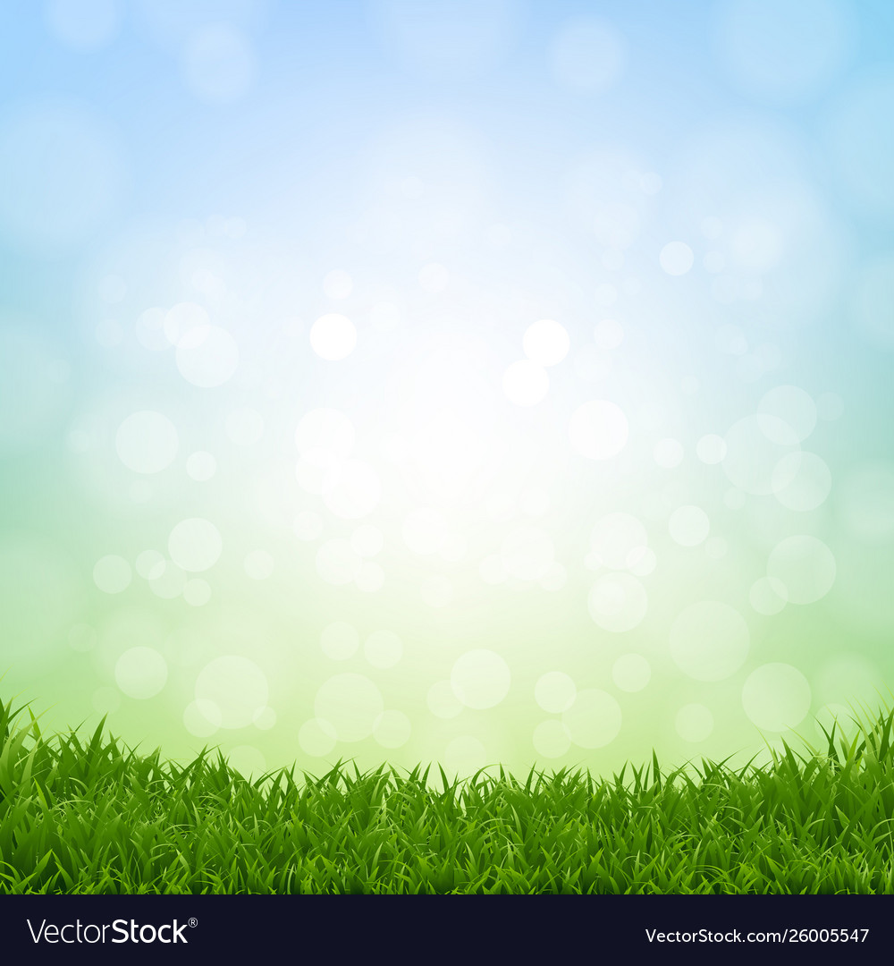 Spring grass border Royalty Free Vector Image - VectorStock