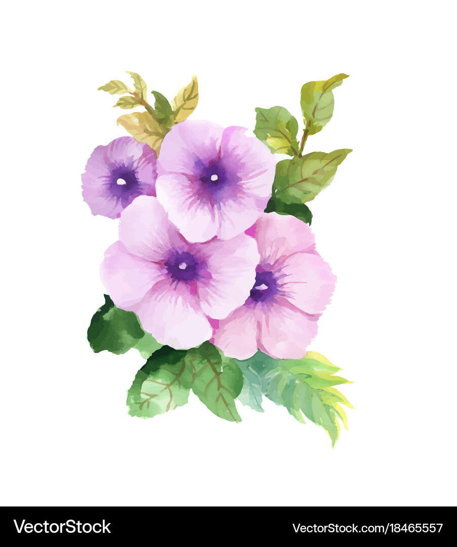 Hand drawn flowers isolated on white background Vector Image