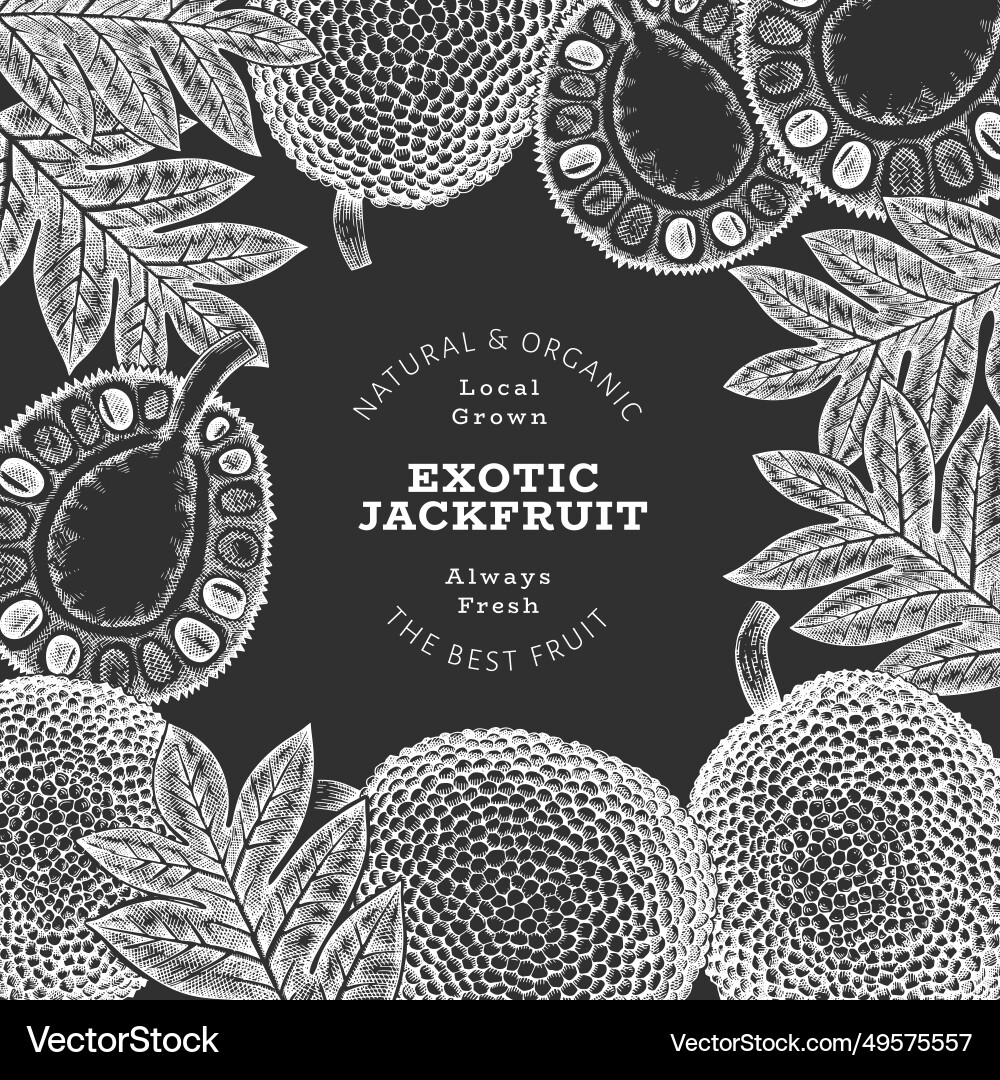 Hand drawn sketch style jackfruit banner organic Vector Image