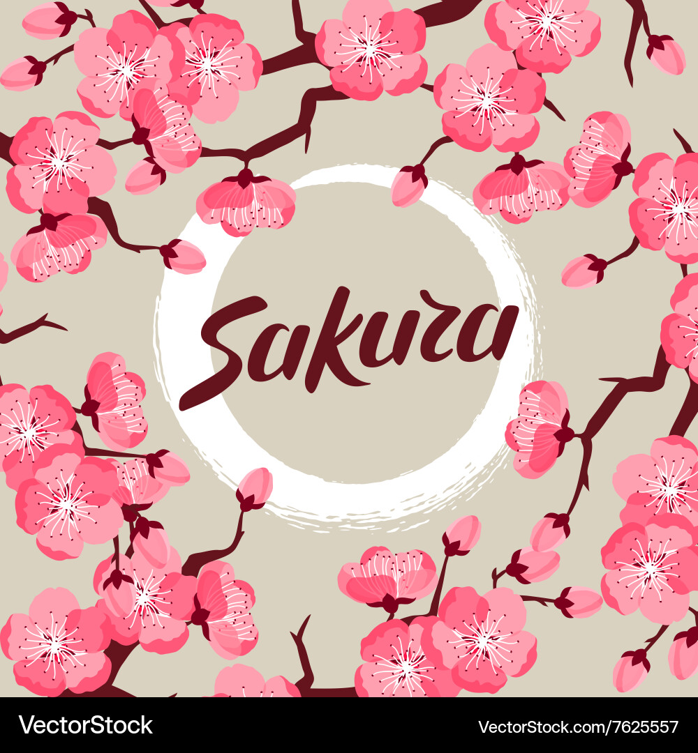 Japanese sakura background with stylized flowers Vector Image
