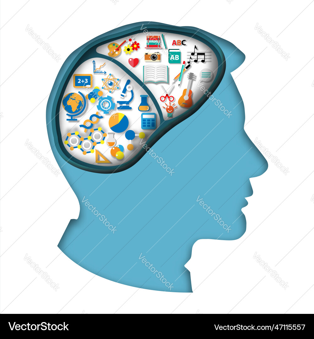 Paper art style left and right hemisphere brain Vector Image