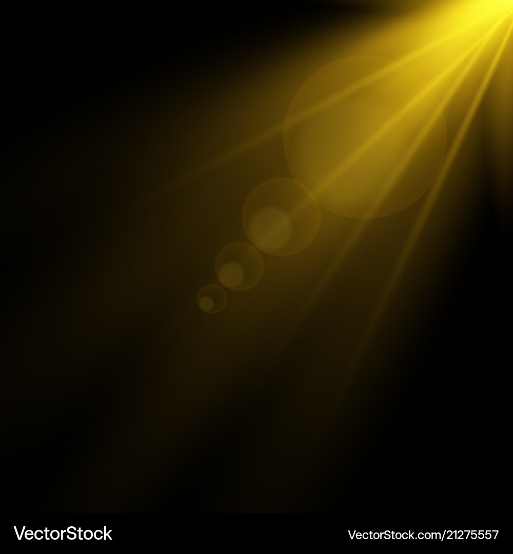Transparentes Sonnenlicht Speziallinsen-Flack Vektorbild