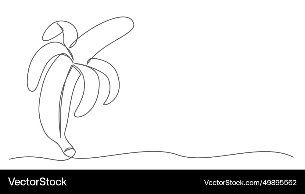 Banana one line drawing isolated on white Vector Image
