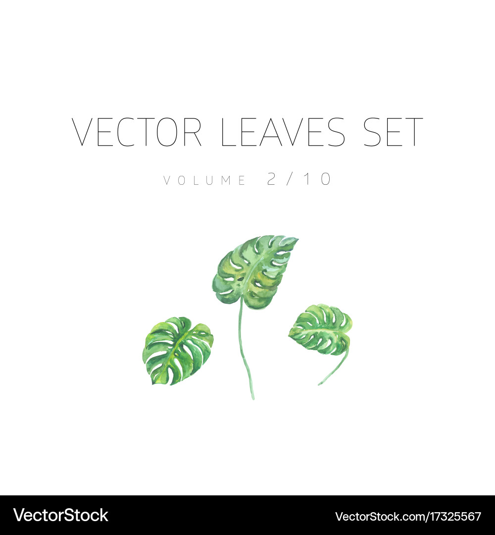 Bright watercolor set of leaf Royalty Free Vector Image