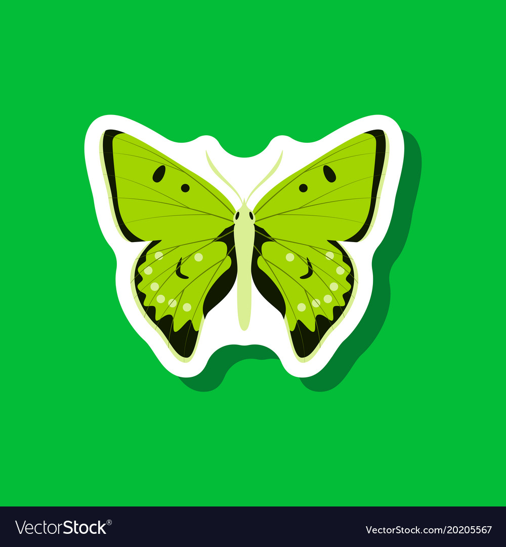 Butterfly Paper Sticker On Stylish Background Vector Image