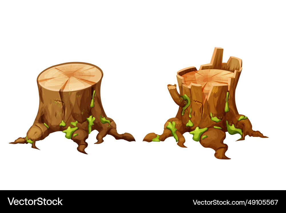 Wooden stump forest tree trunk with roots moss Vector Image