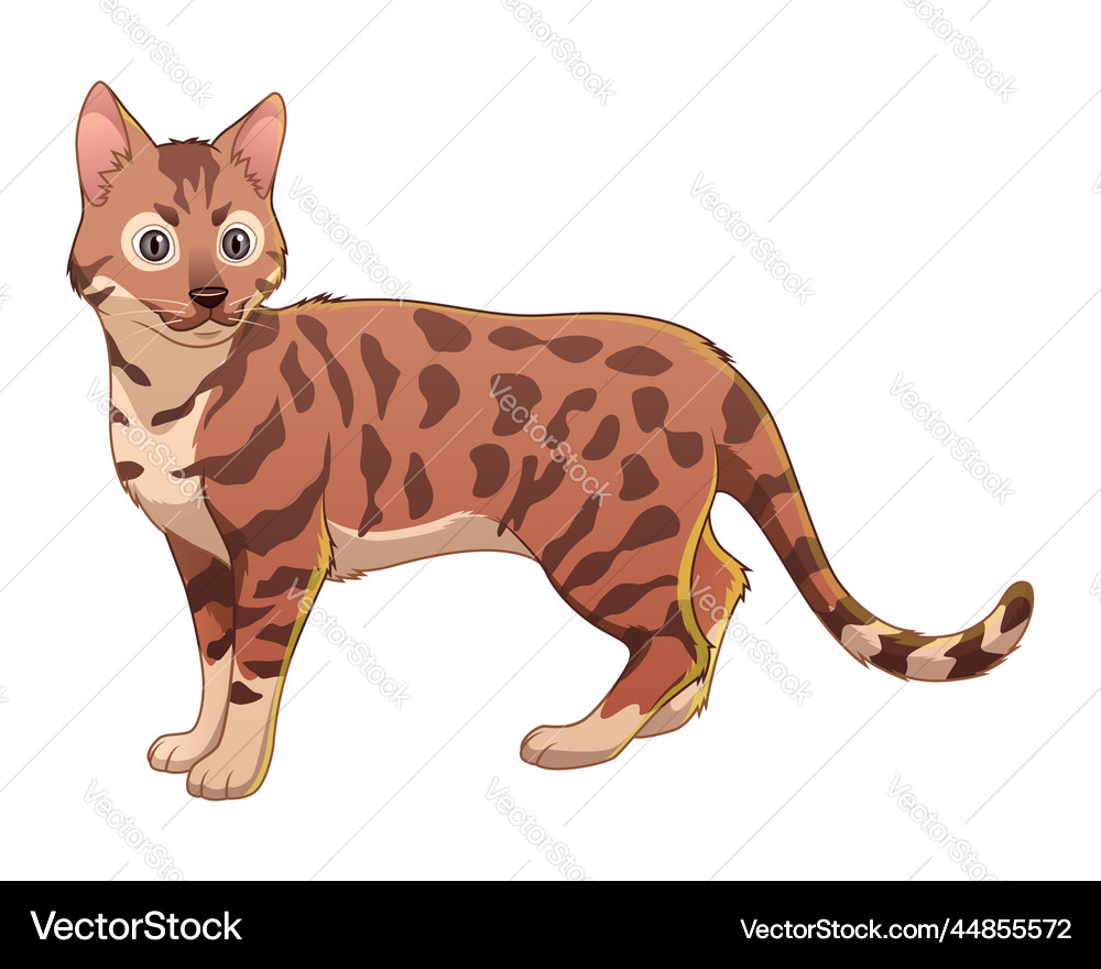 Bengal cat cartoon animal Royalty Free Vector Image