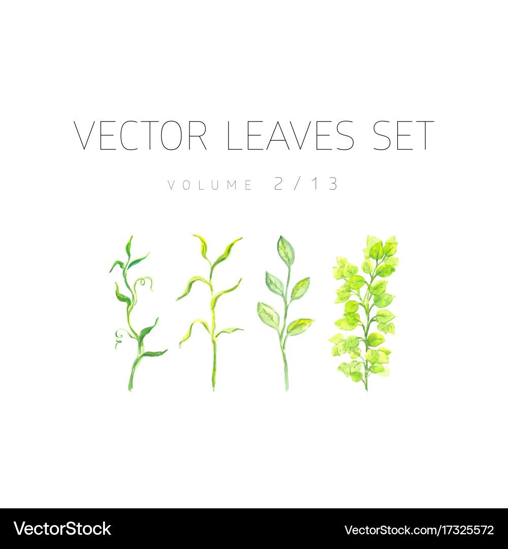 Bright watercolor set of leaf Royalty Free Vector Image