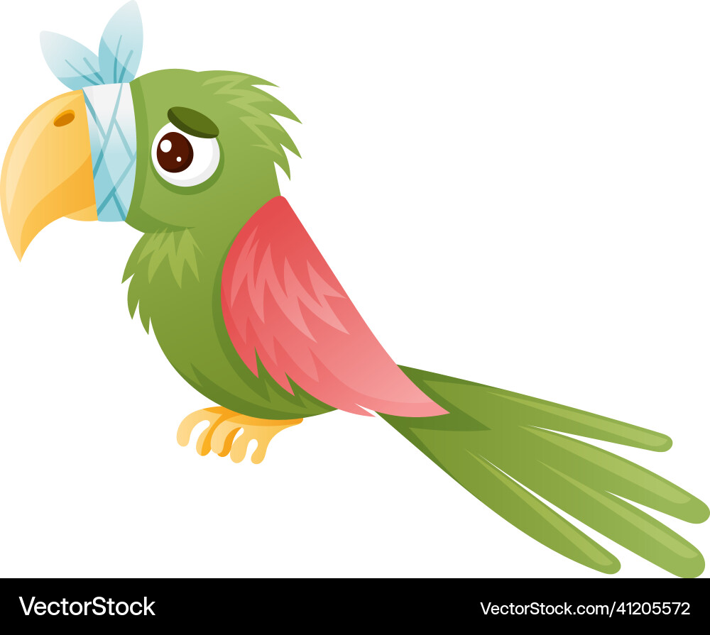 Sick parrot bird sad exotic with bandage Vector Image