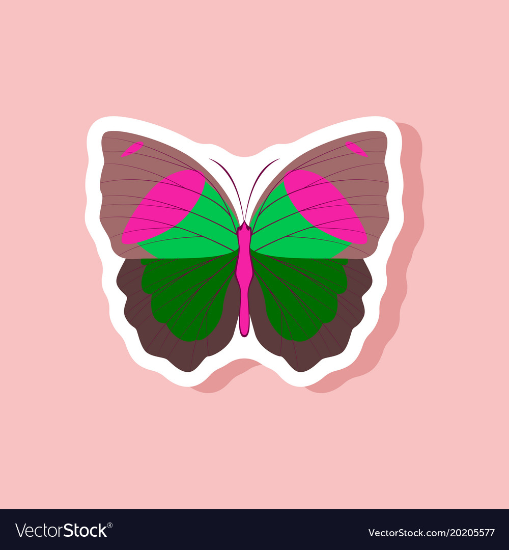 Butterfly Paper Sticker On Stylish Background Vector Image