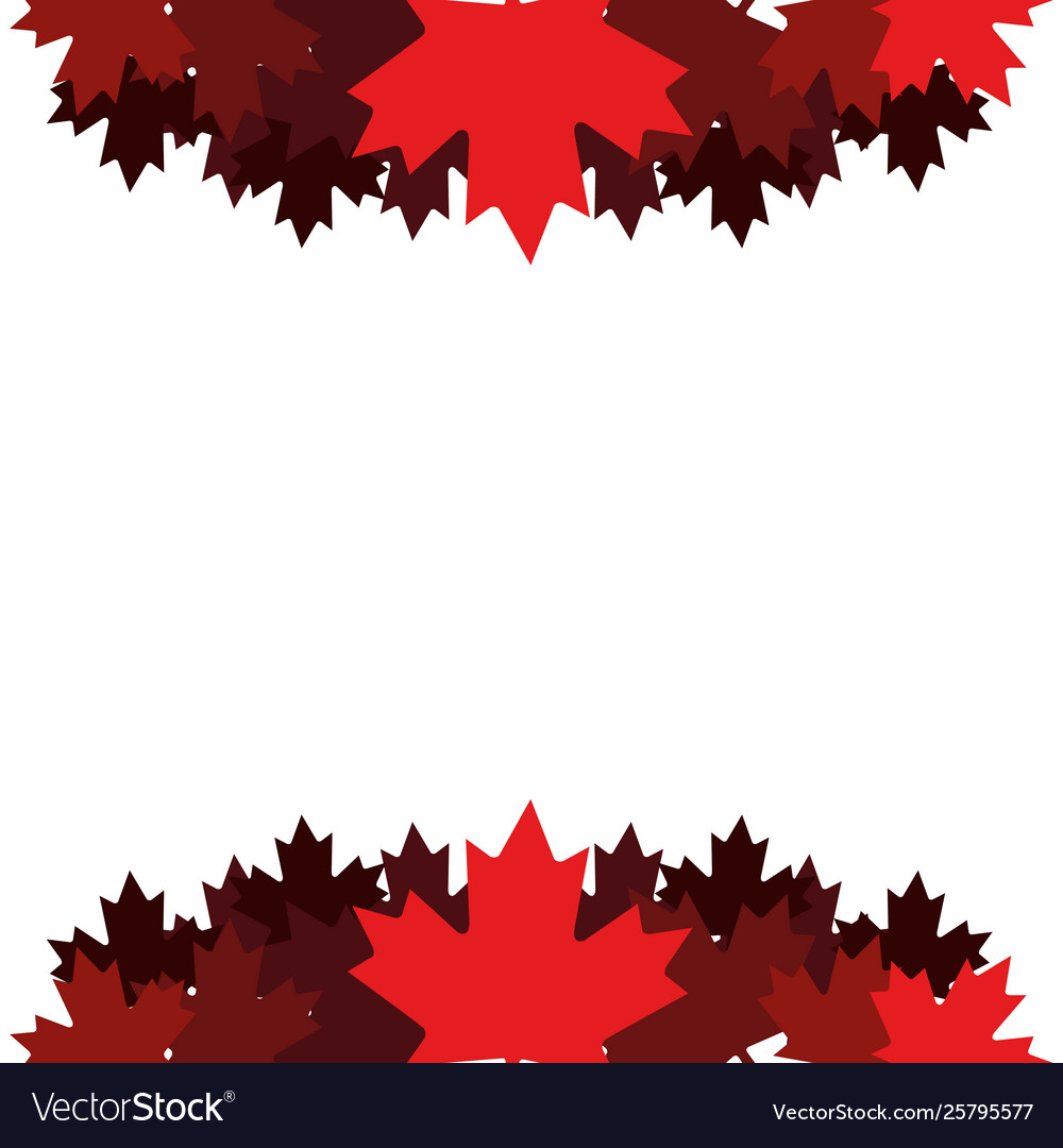 Maple leaf canada design Royalty Free Vector Image