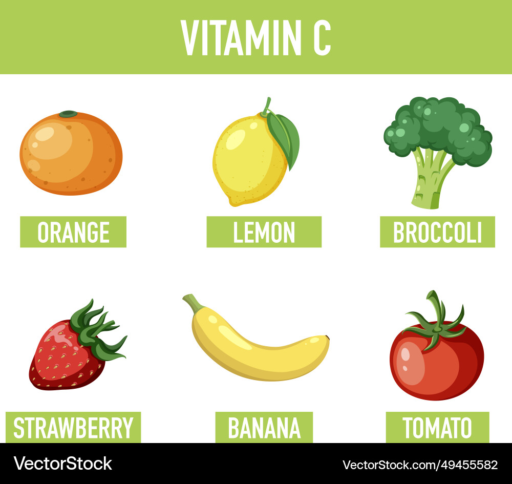 Educational poster foods containing vitamin c Vector Image
