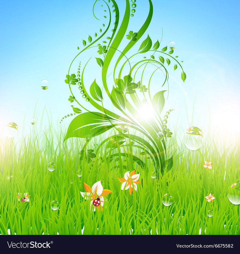 Green grass background Royalty Free Vector Image