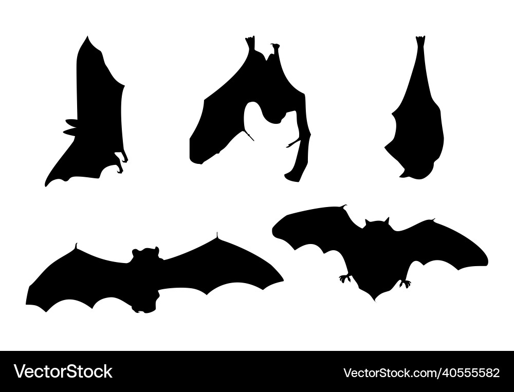 Horror black bats isolated on white halloween Vector Image
