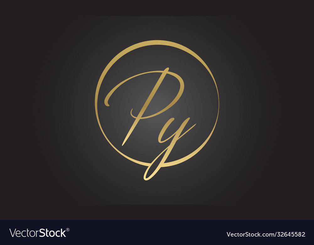Initial py letter logo with creative modern Vector Image