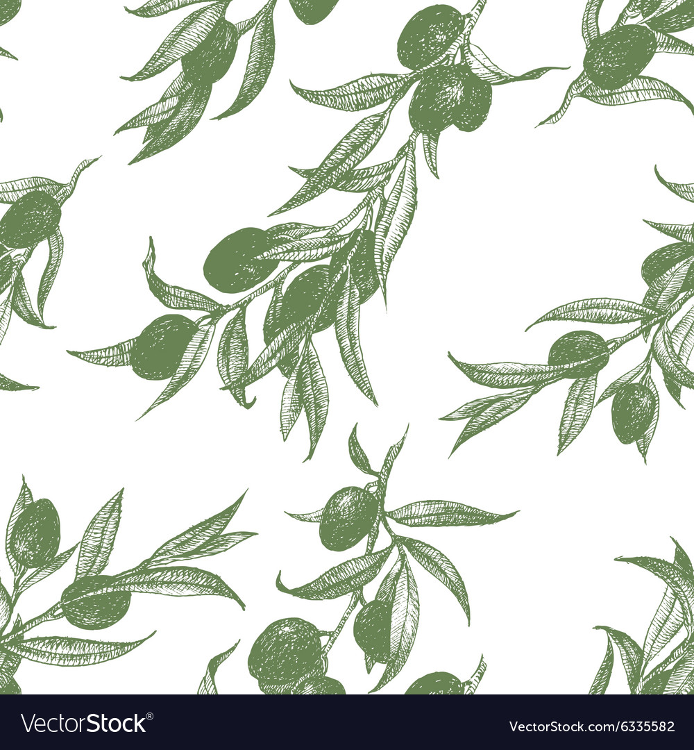 Olive pattern Royalty Free Vector Image - VectorStock